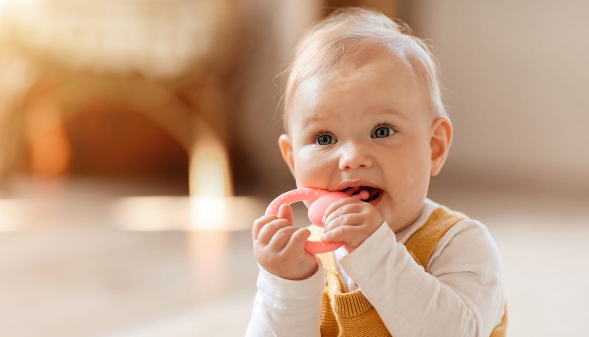 Guide to Non-Toxic Baby Teethers – Attipas Australia